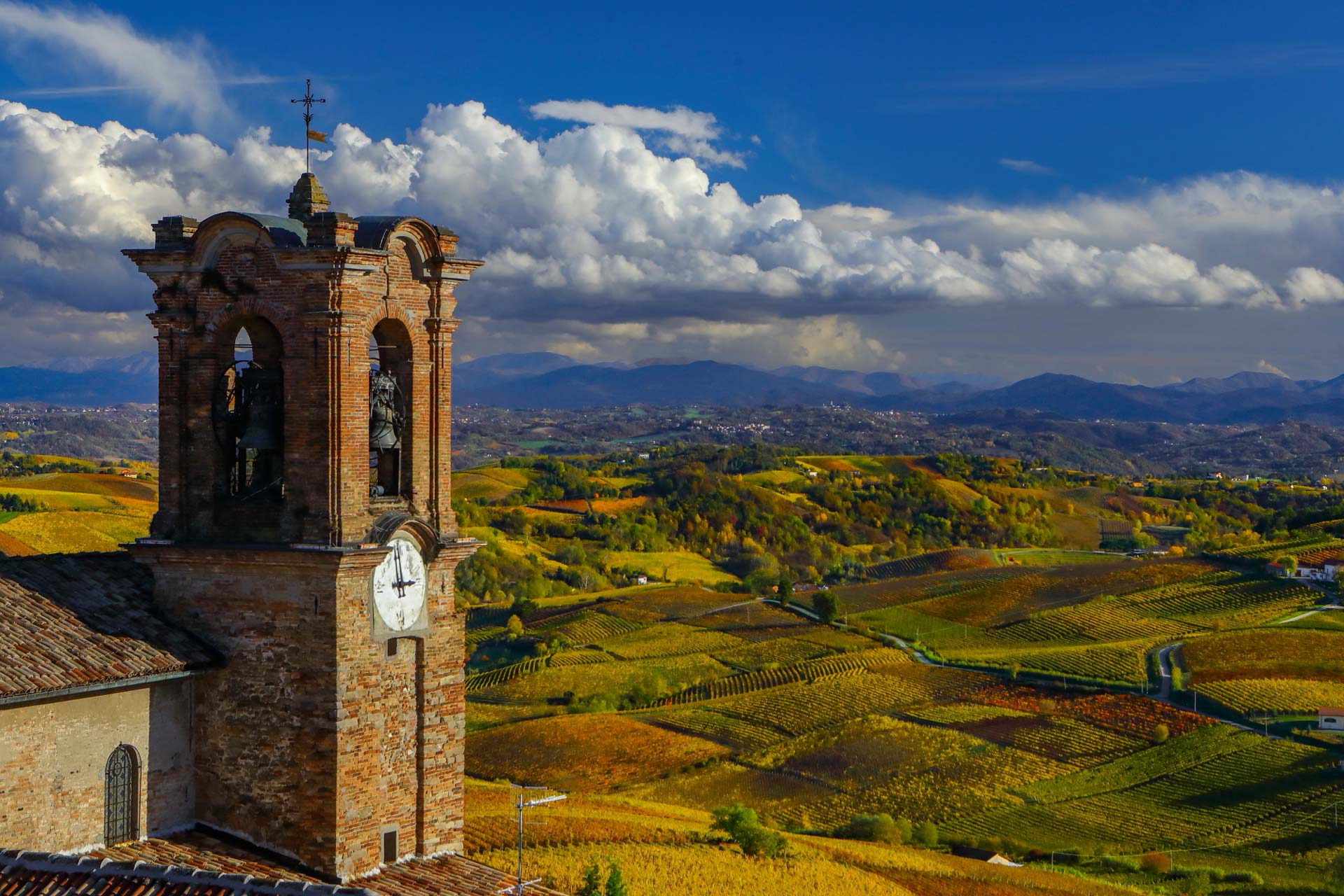 home - Cantina Alice Bel Colle